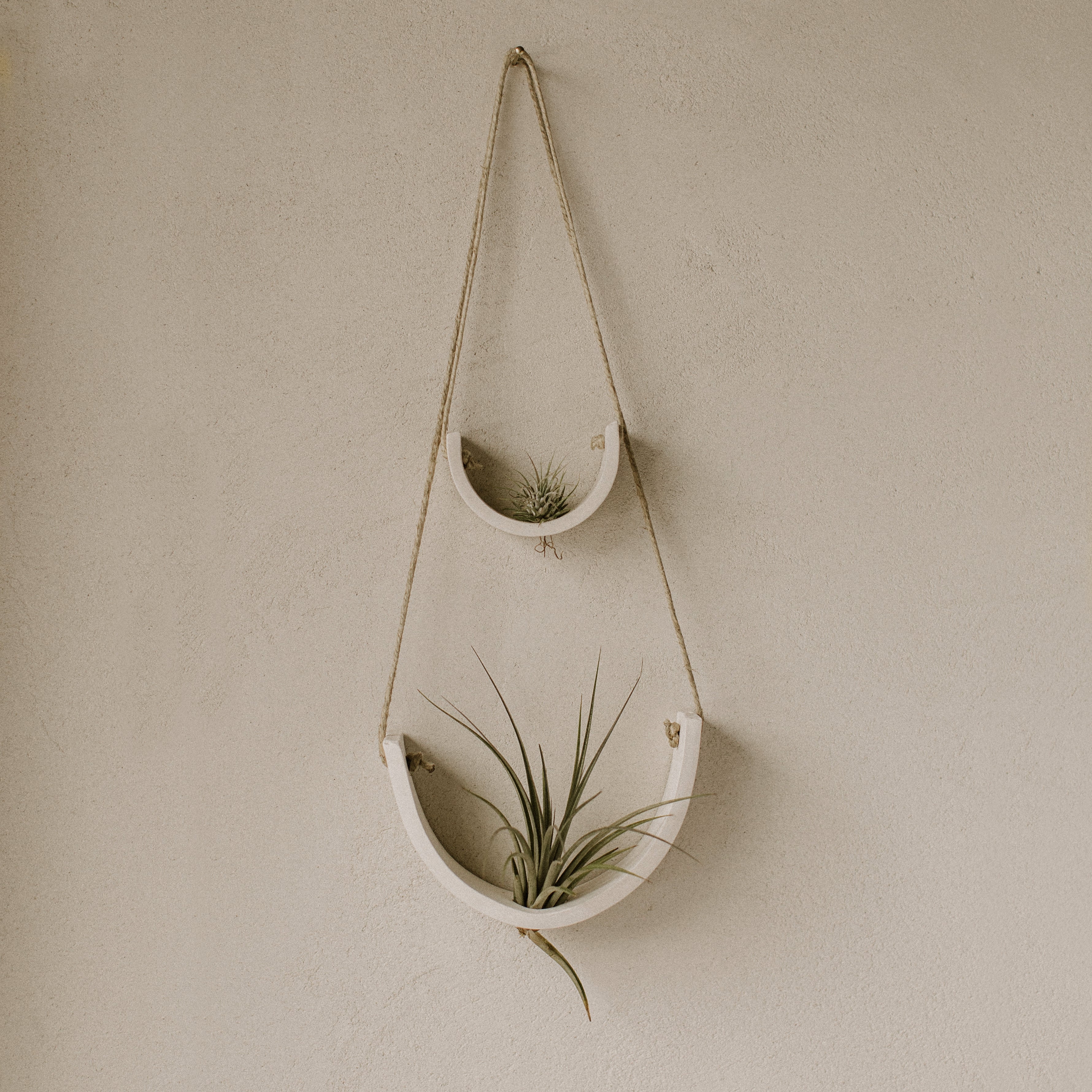 Air Plant Cradle - Small – Fieldstudy